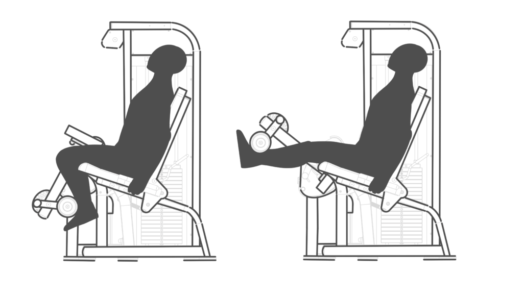 A5010 | Leg Extension – MaxPumpSport