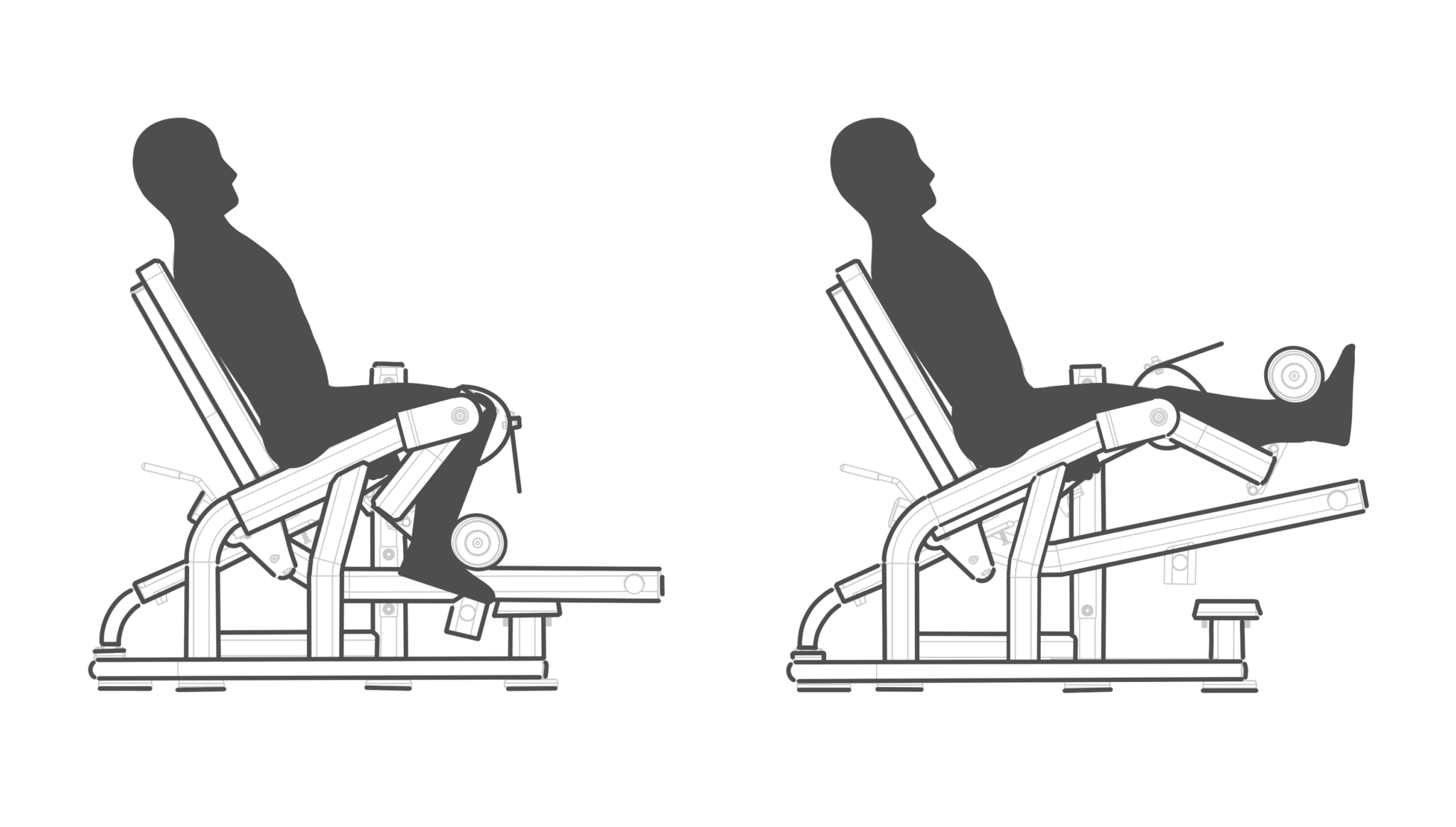 A7084 | Leg Extension – MaxPumpSport