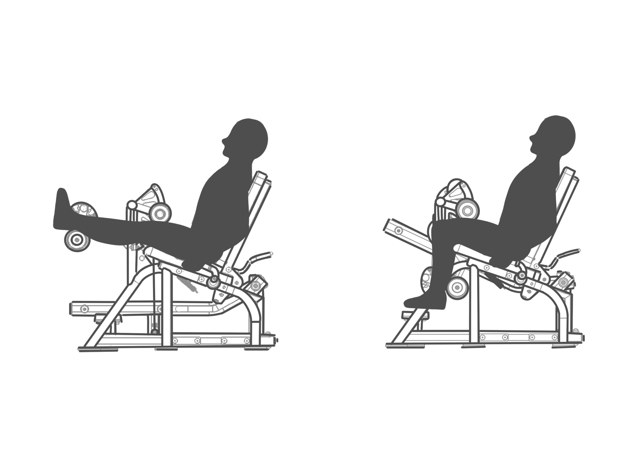 A7018 | Seated Legs Curl – MaxPumpSport